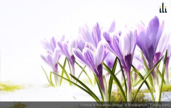 3 Spring Traditions in Romania