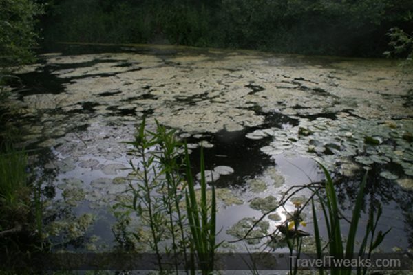 Discovering Great Britain: Paxton Pits Natural Reserve