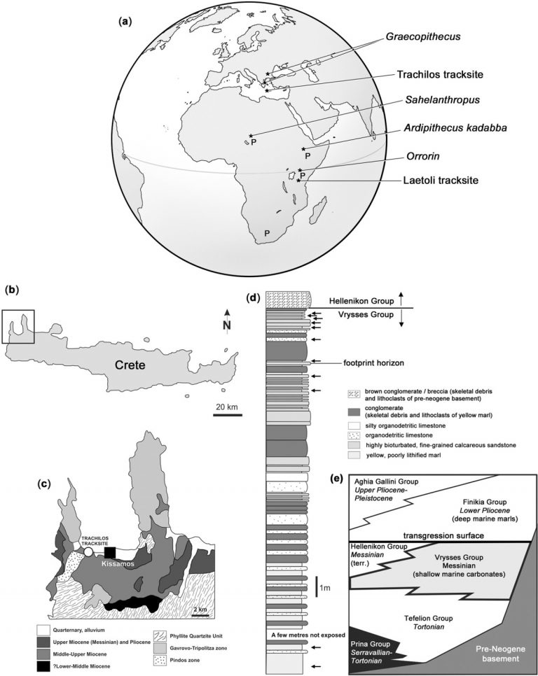Footprints Discovered at Trachilos, Crete Date from 5.7 Million Years Ago