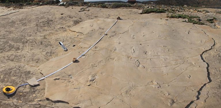 Footprints Discovered at Trachilos, Crete Date from 5.7 Million Years Ago