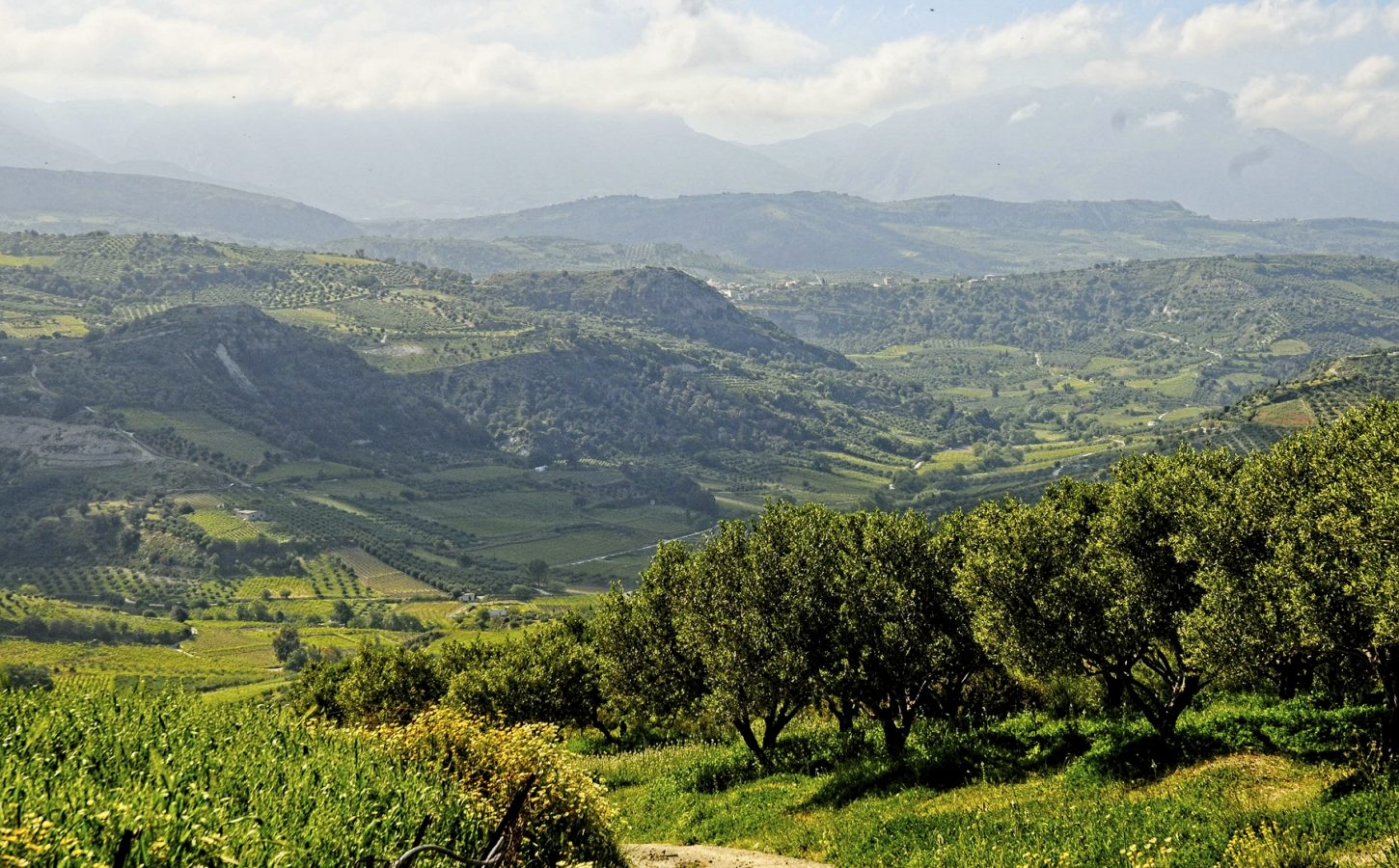 In the Bossom of Crete: Iliostasio Rediscovers Ancient Medicinal