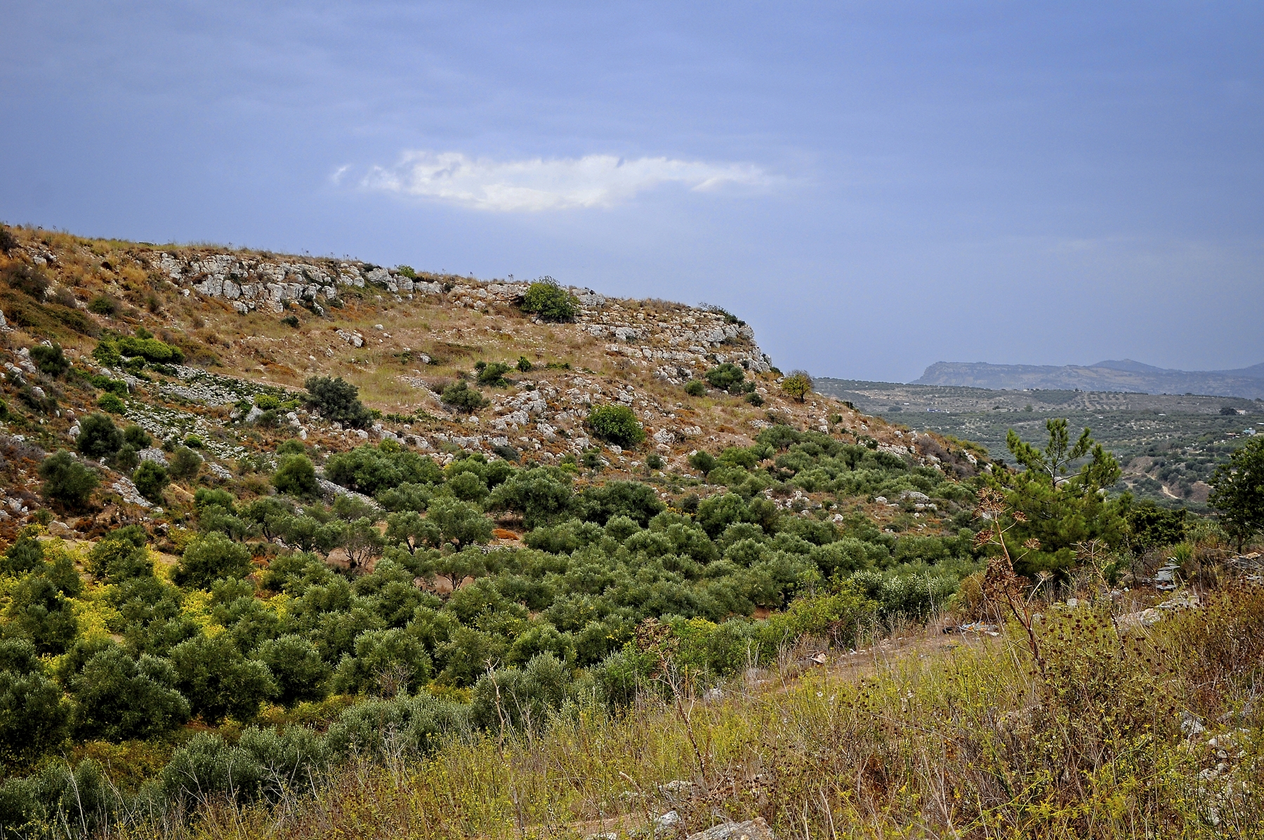 A Workable Vision of Minoan Greatness Reborn on Crete Island