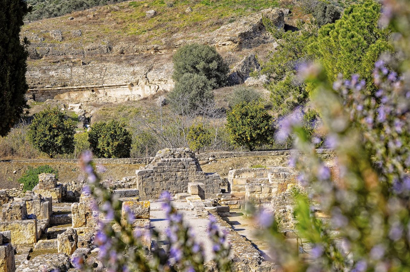 At Winter's End On Crete Witness Instagram's Spring