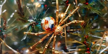 Ukrainian Christmas Traditions and Symbols